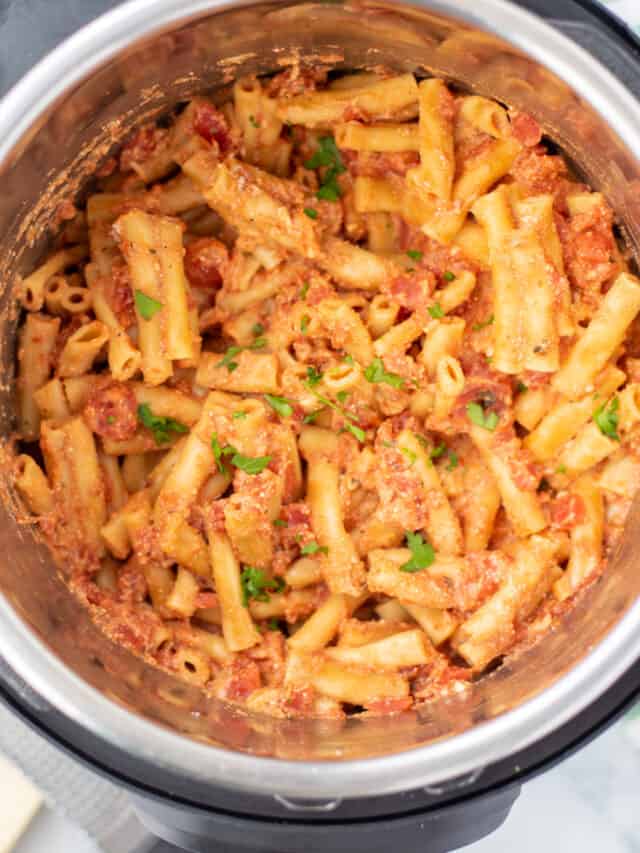 Tried and True Instant Pot Recipes and Tips | A Mind "Full" Mom