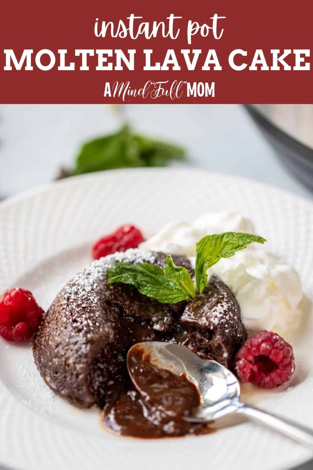 The Best Instant Pot Lava Cake Recipe | A Mind "Full" Mom