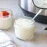 Instant Pot Yogurt {EVERYTHING You Need to Know}