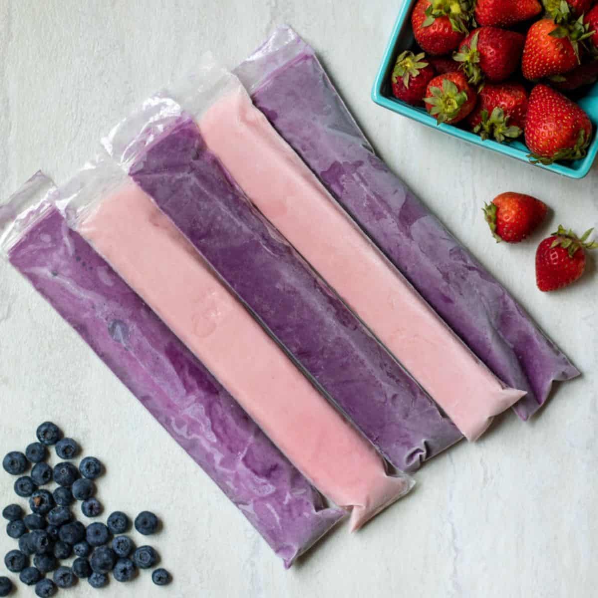 Homemade Yogurt Tubes {Easy Copycat Go-Gurt Recipe}