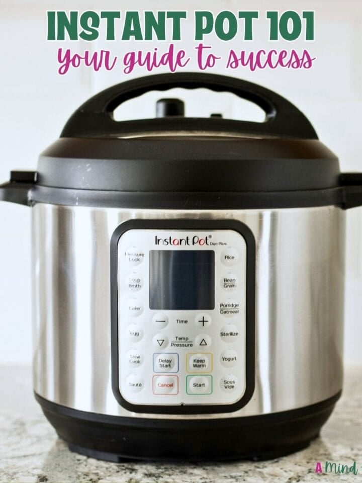 Troubleshooting Common Instant Pot Problems | A Mind "Full" Mom