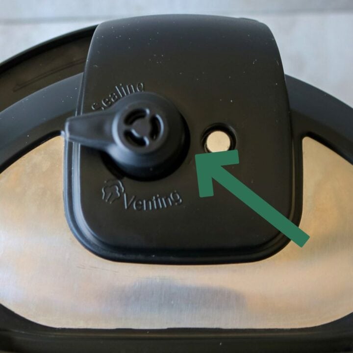 Instant Pot 101: A Beginner's Guide on How to use an Instant Pot