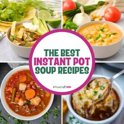 Over 30 Instant Pot Soup Recipes {Tried, Tested & True}